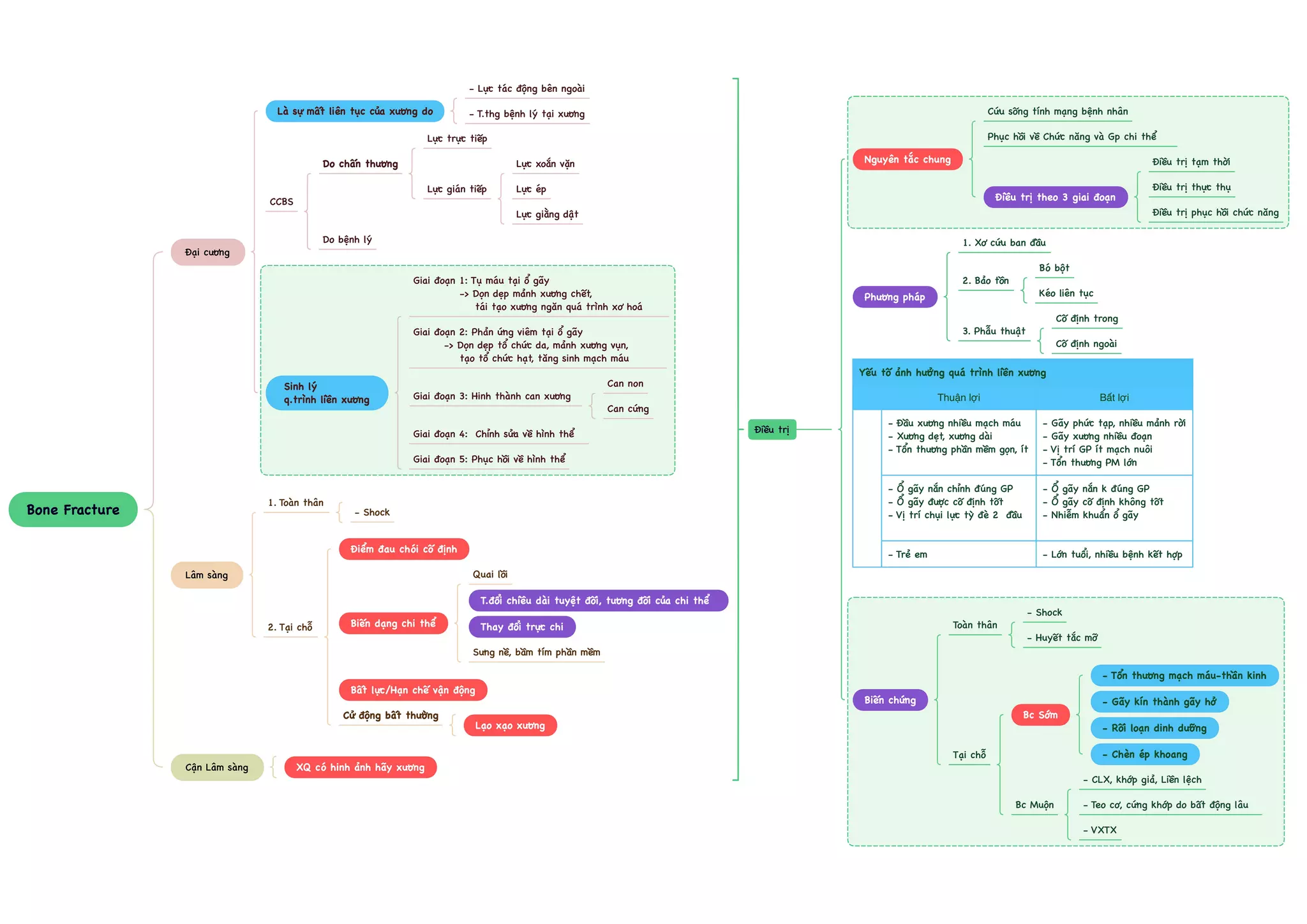 Mindmap Đề cương Ngoại Khoa Y4-[Tiếng Việt]. | PDF