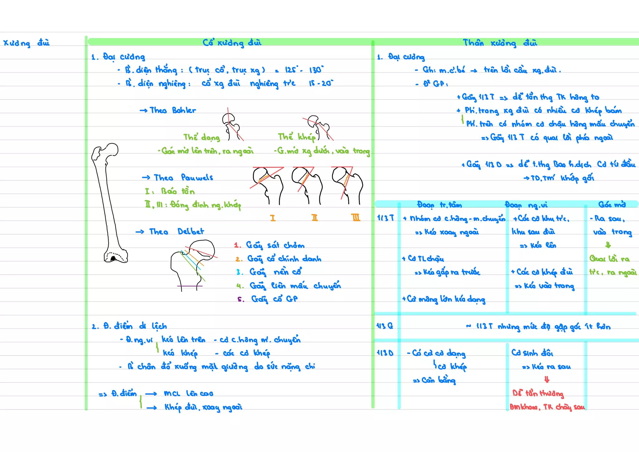Mindmap Đề cương Ngoại Khoa Y4-Y6[Tiếng Việt]. | PDF | Free download