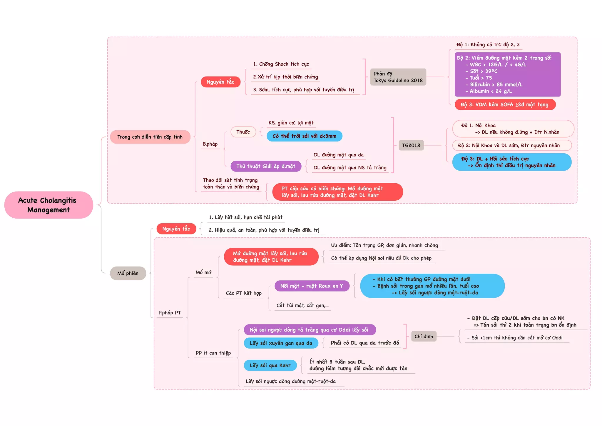 Mindmap Đề cương Ngoại Khoa Y4-Y6[Tiếng Việt]. | PDF | Free download