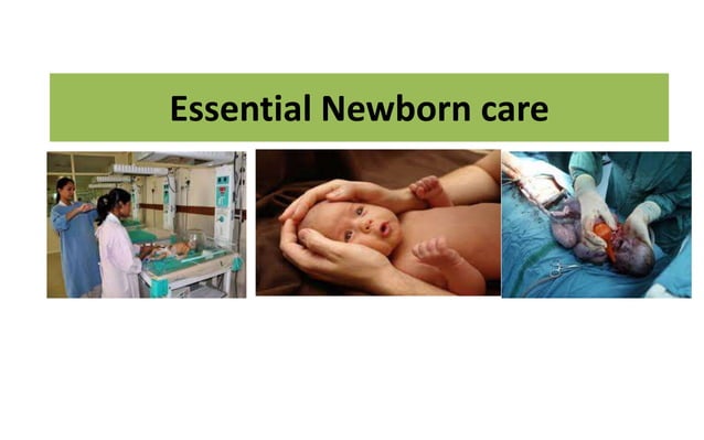 0. Classification of Newborn.pptx | Pregnancy | Reproductive Health