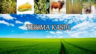 0. Bahan Karo Rakortek_02.pptx