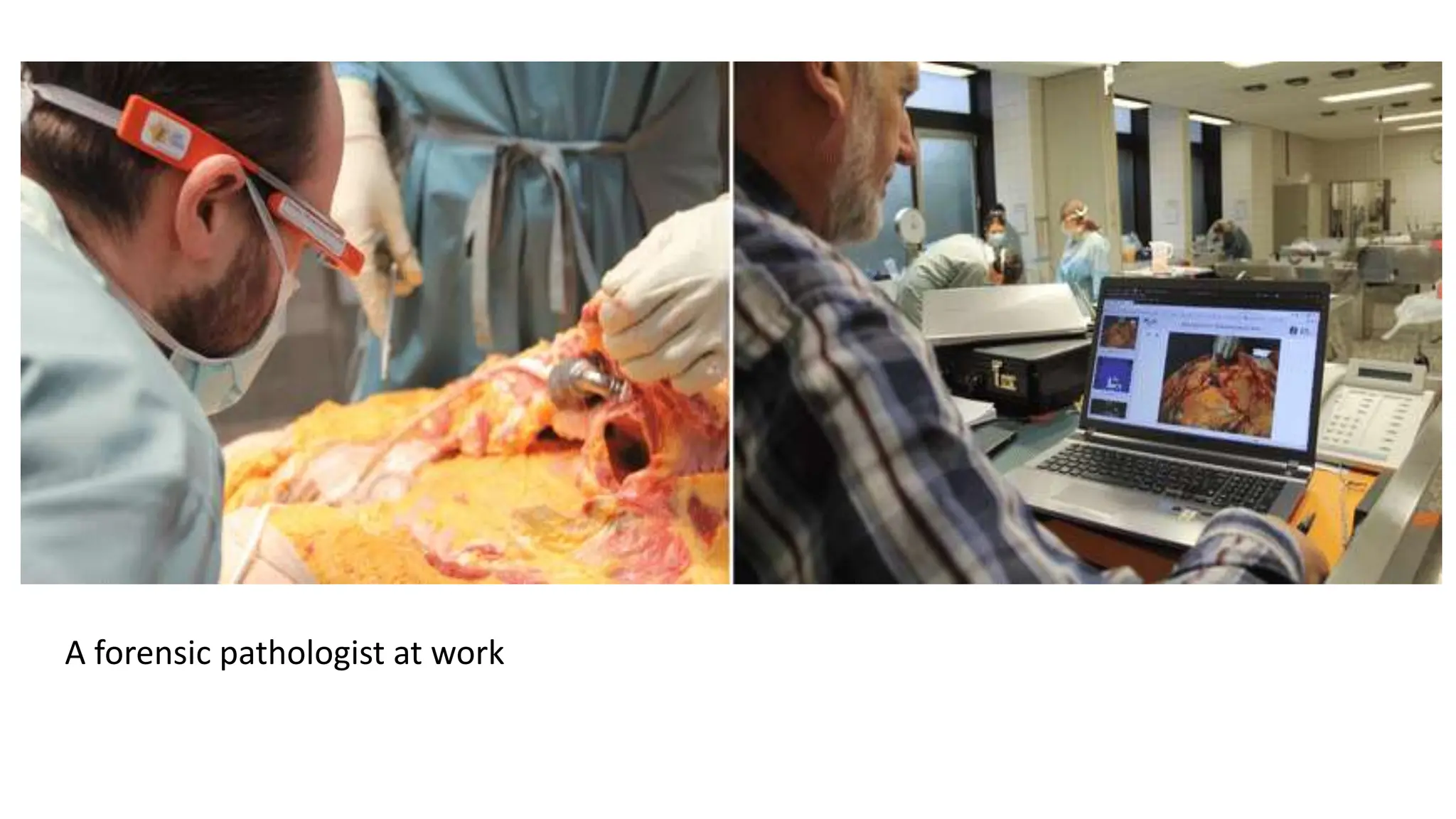 INTRODUCTION TO BASIC FORENSIC PATHOLOGY | PPTX