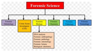 INTRODUCTION TO BASIC FORENSIC PATHOLOGY | PPTX