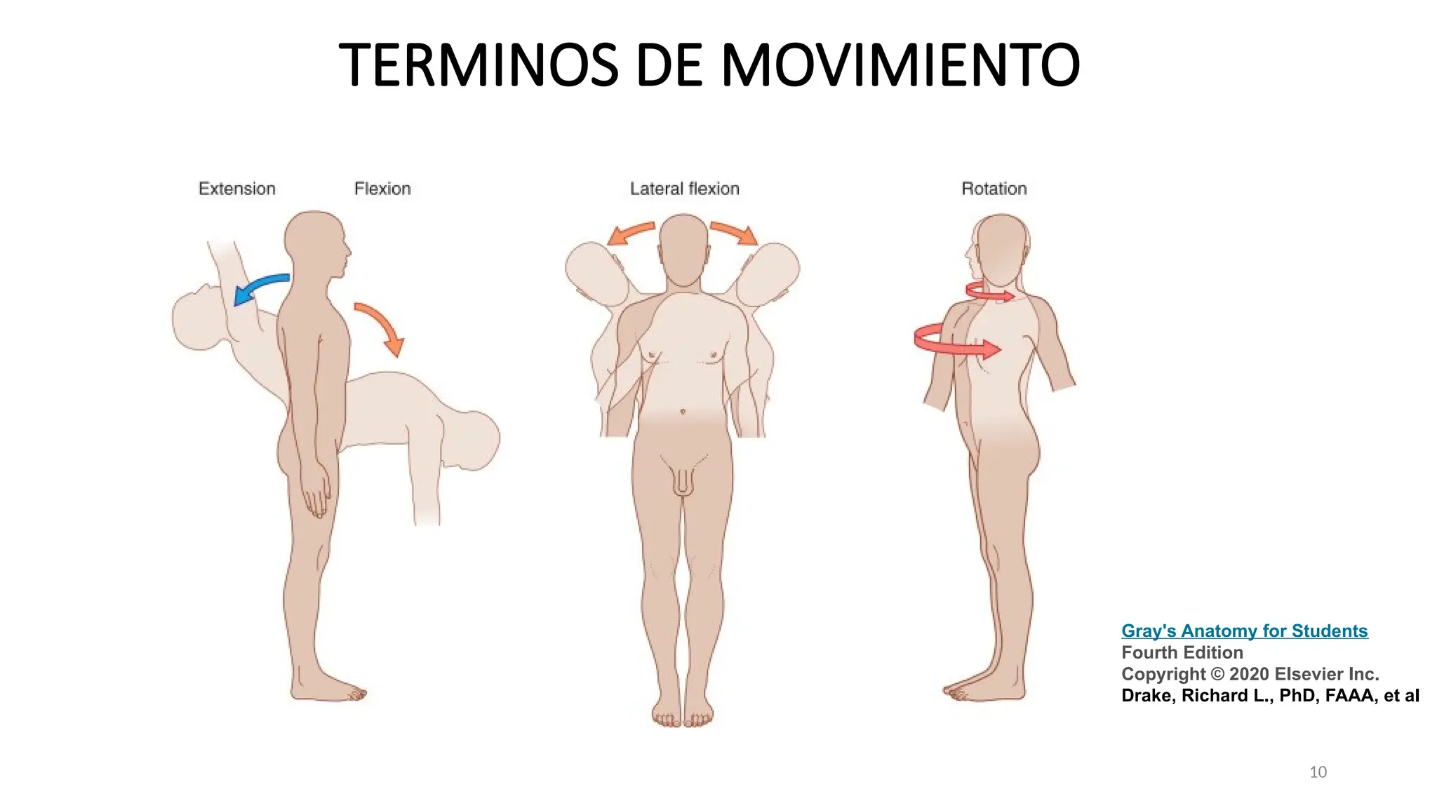 0. GENERALIDADES DE LA MATERIA DE ANATOMIA.pptx 0. GENERALIDADES DE LA MATERIA DE ANATOMIA.pptx
