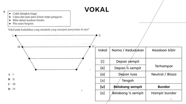 0.1 20242025 NOTA KILAT FONETIK DAN FONOLOGI PERCUMA.pdf