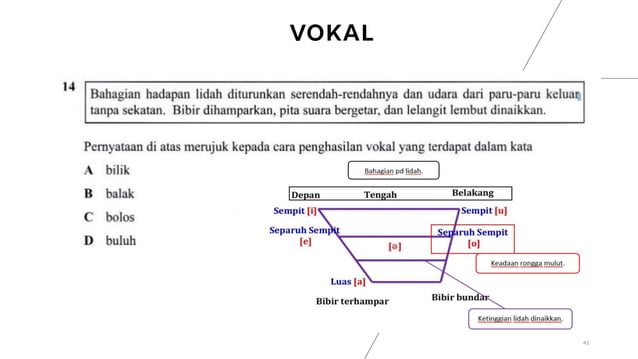 0.1 20242025 NOTA KILAT FONETIK DAN FONOLOGI PERCUMA.pdf
