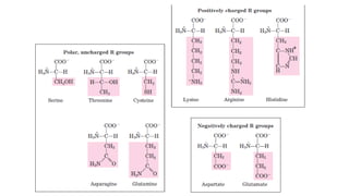 0. Stereochemistry of Amino Acids & Proteins.pptx