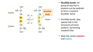 0. Stereochemistry of Amino Acids & Proteins.pptx
