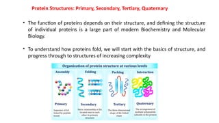 0. Stereochemistry of Amino Acids & Proteins.pptx