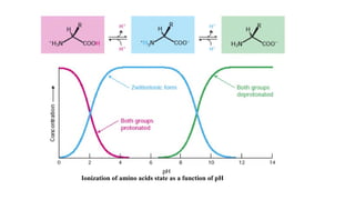 0. Stereochemistry of Amino Acids & Proteins.pptx