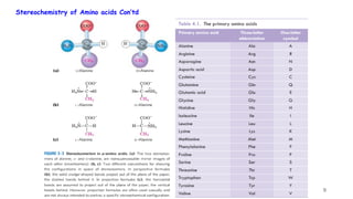 0. Stereochemistry of Amino Acids & Proteins.pptx