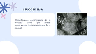 historia clinica dental , biopcia incisional y excisional | PPT