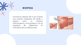 historia clinica dental , biopcia incisional y excisional | PPT