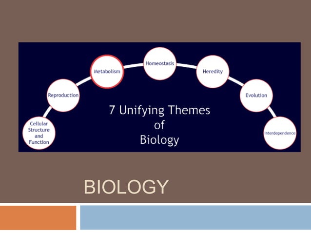 Introduction to biology | PPTX