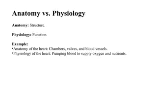 Introduction to Anatomy and Physiology for Lab Technicians | PPTX