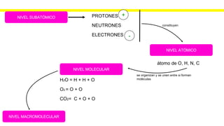 0- Niveles de organizaciòn de la materia.pptx