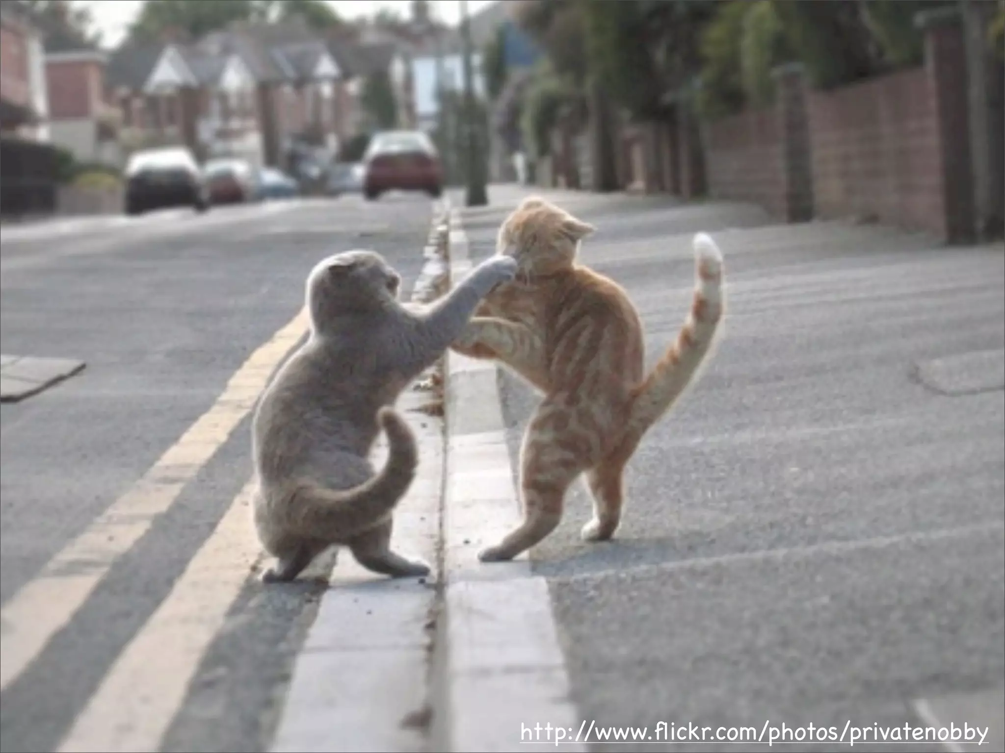 CloudCamp London 3 - Canonical - Simon Wardley | PDF