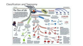 1 - variety of life | PDF