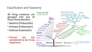 1 - variety of life | PDF