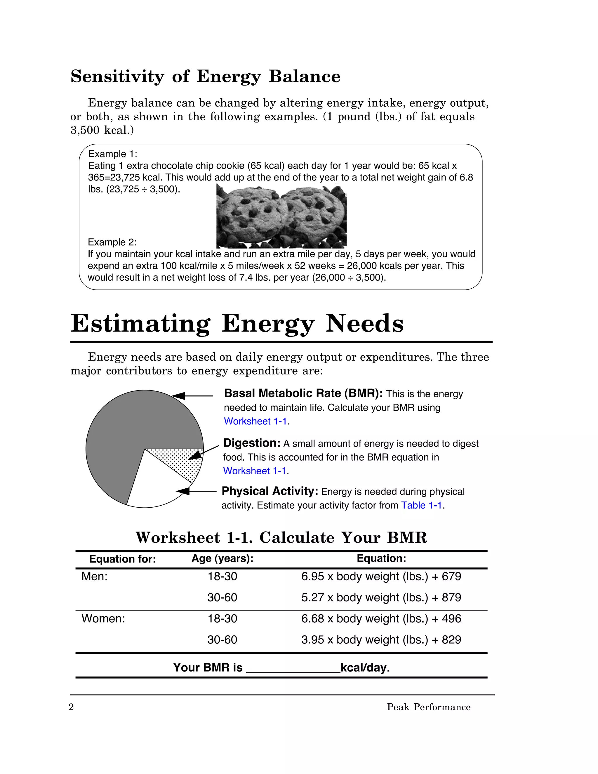 Nutrition and Exercise | PDF