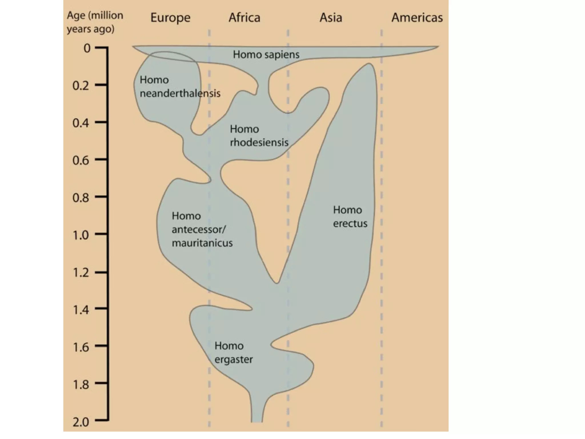 00 Anatomy Framework | PPT