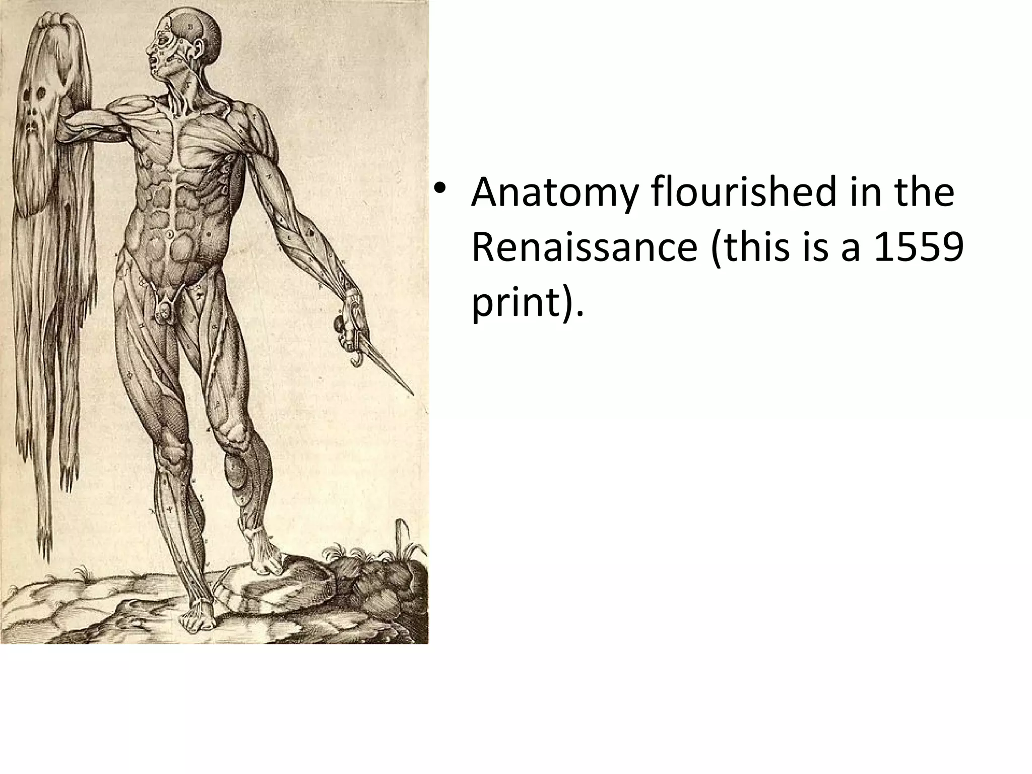 00 Anatomy Framework | PPT