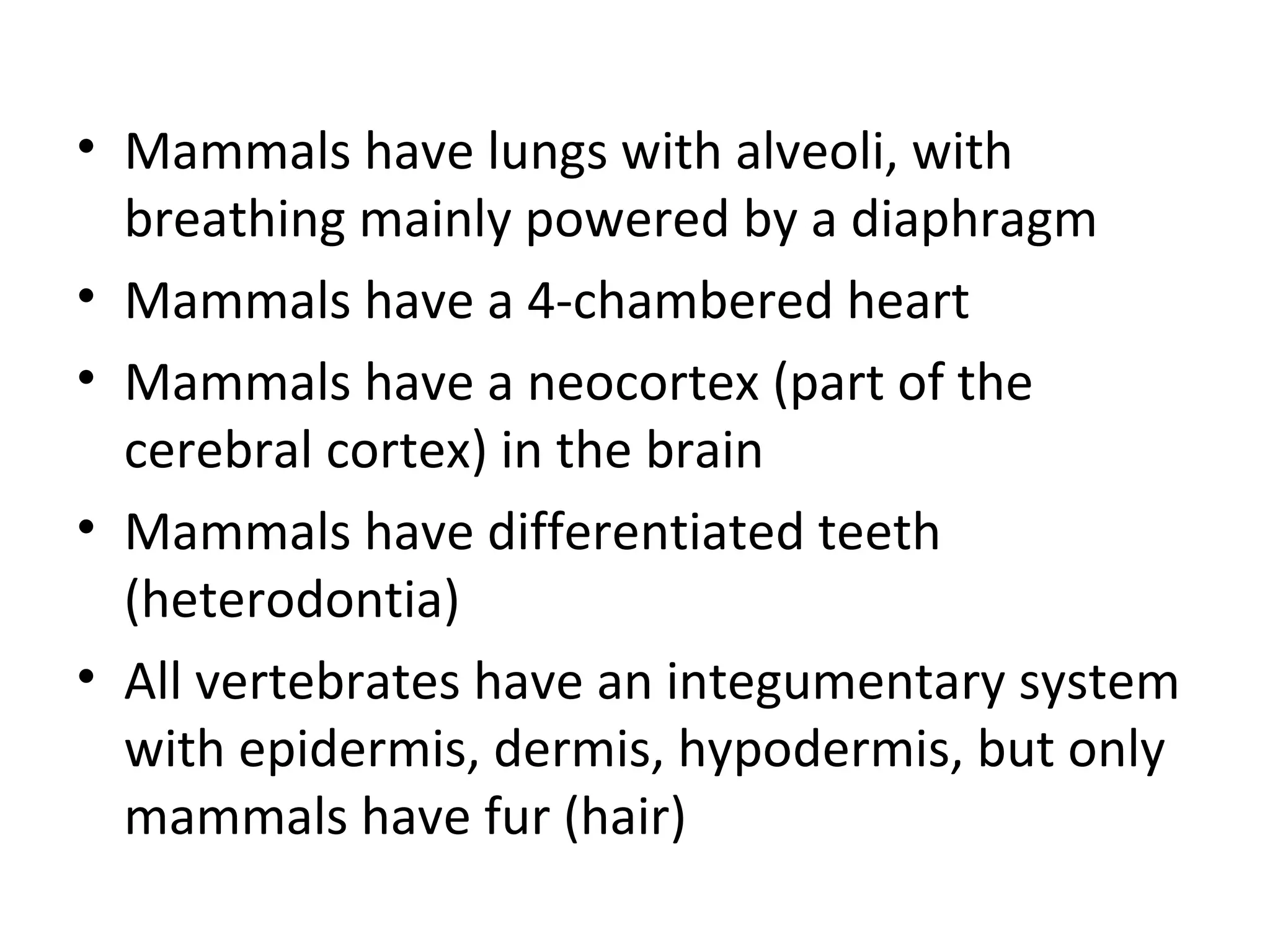 00 Anatomy Framework | PPT