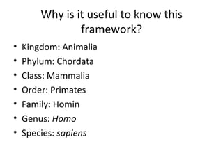 00 Anatomy Framework | PPT