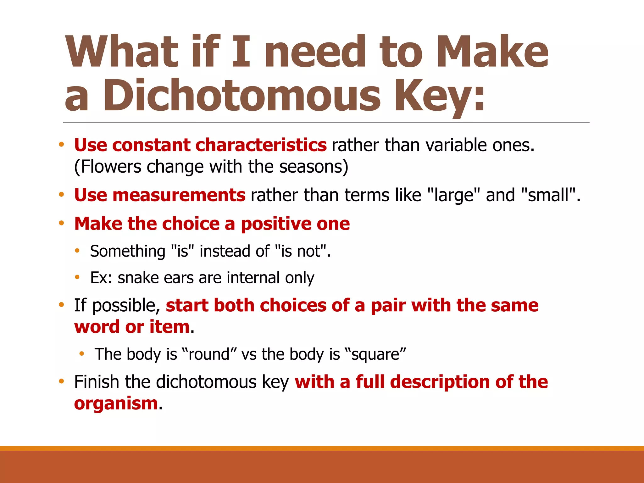 dichotomous key | PPT