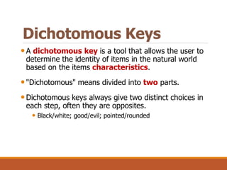 dichotomous key | PPT