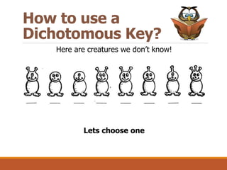 dichotomous key | PPT