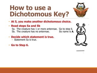 dichotomous key | PPT
