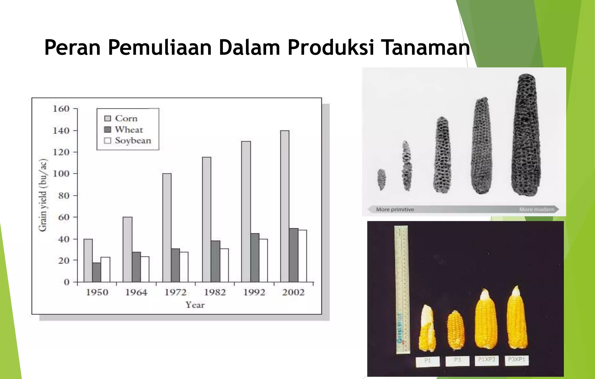 Pemuliaan Tanaman dan Produksi Benih | PDF
