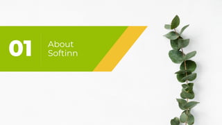 About Softinn Solutions | PDF | Asia Travel | Travel Locations