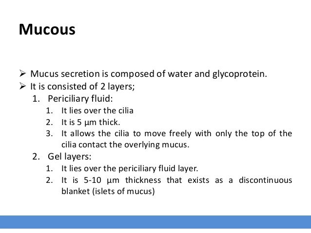 Upper Respiratory Defense
