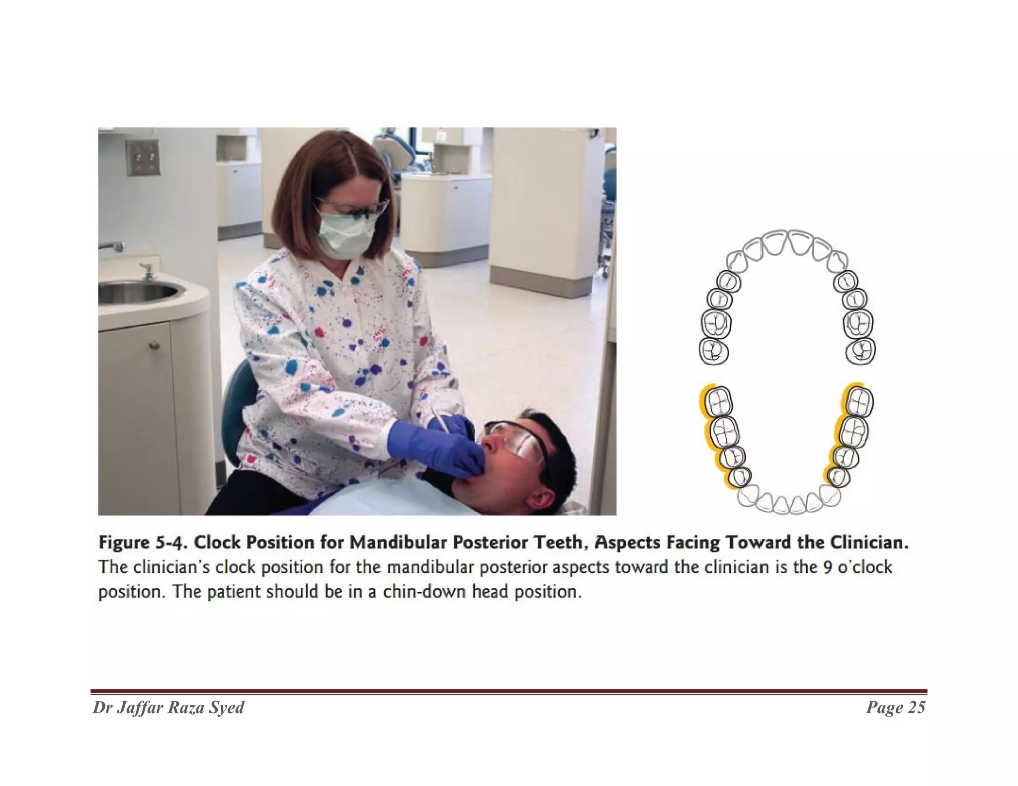 000.Dental Chair positions and armamentrum | PDF
