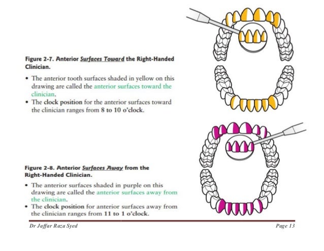 000.Dental Chair positions and armamentrum