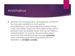 Abnormal secondary growth | PPTX