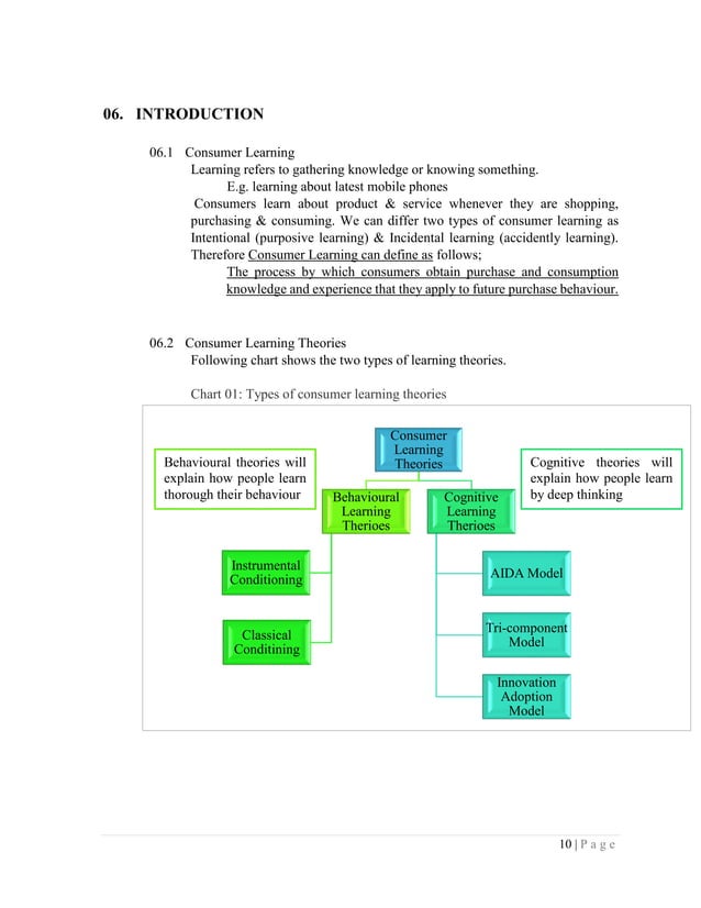 Exploring Consumer Behaviour (ECB) | PDF