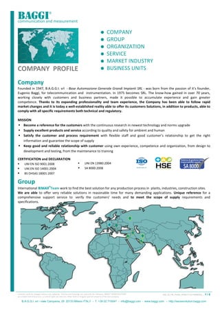 BAGGI Company Profile | PDF