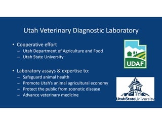 Utah Veterinary Diagnostic Laboratory | PPT