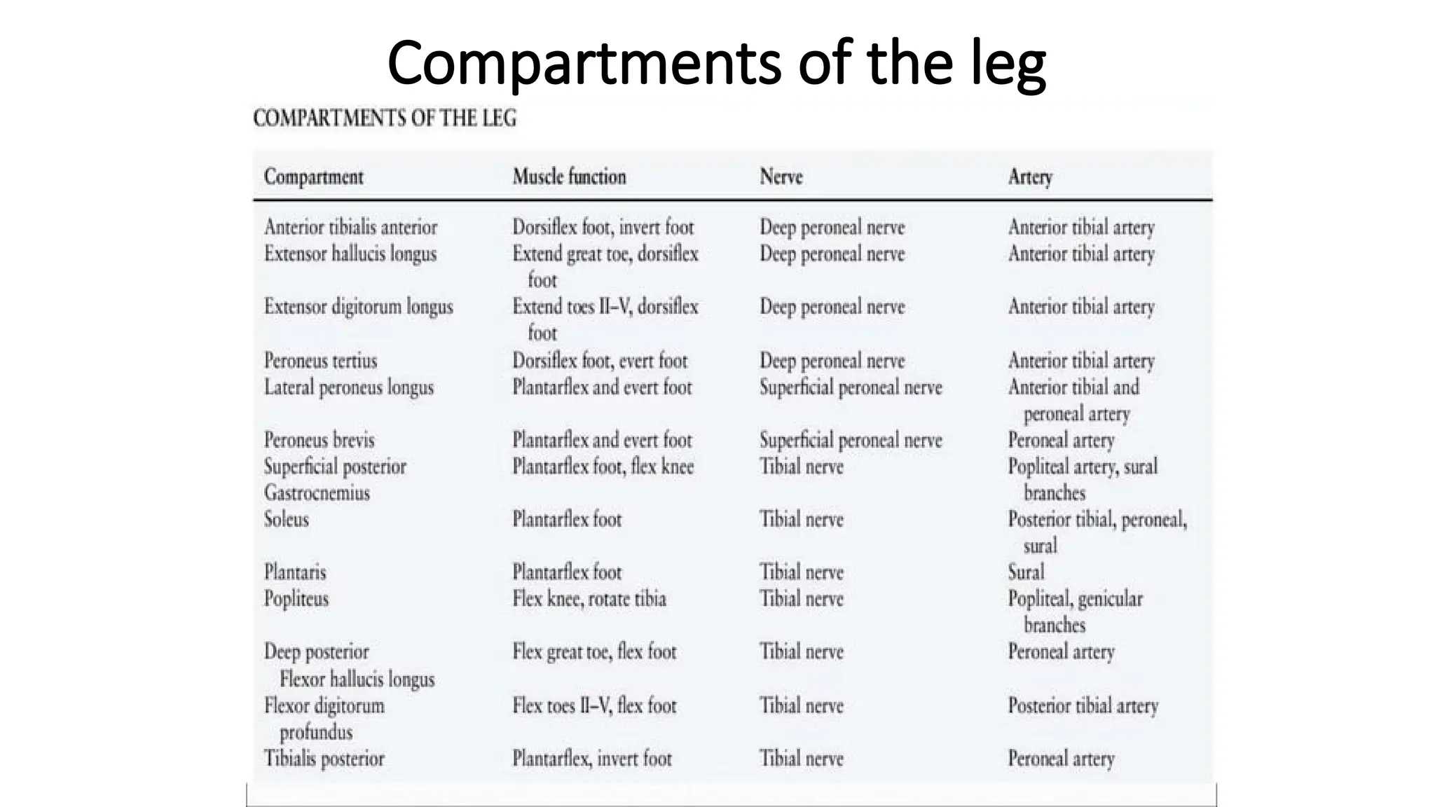 00001: Perforator flaps of leg presentation to explain the basics ...