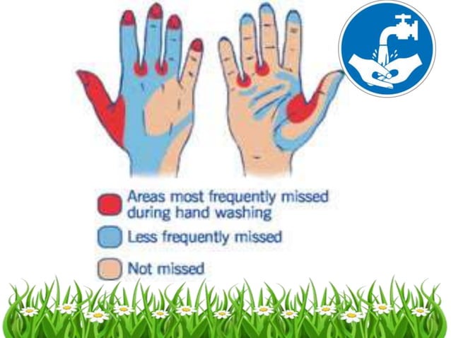 النظافة الشخصية وحسن الترتيب Personal Hygiene& Cleanliness | PDF | Nail ...