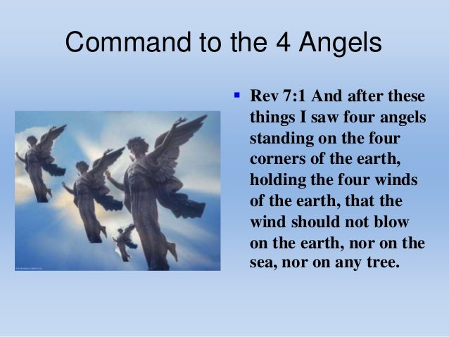 0005 revelation ch. 7 beta