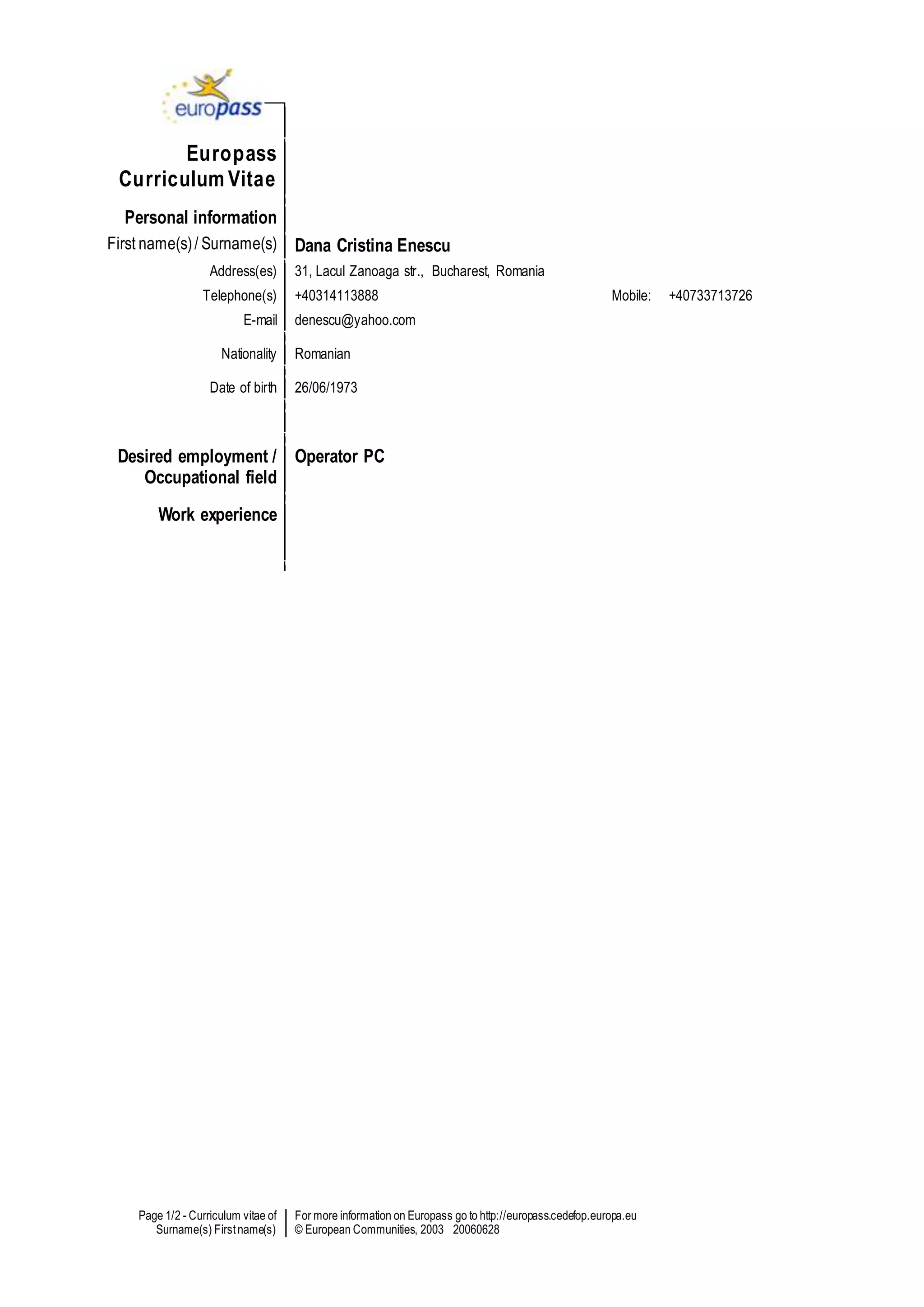 CV dana enescu eng | DOCX | Technology & Computing