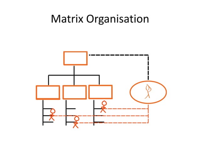 Matrix Organization | PPTX