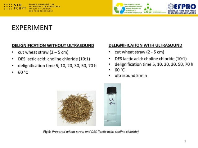Pretreatment Of Wheat Straw Using Deep Eutectic Solvents And Ultraound