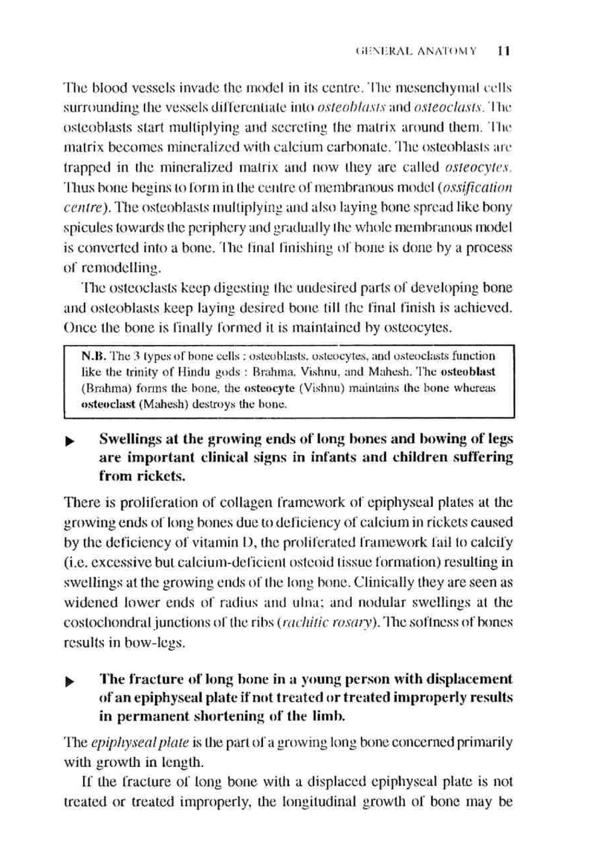 001 clinical-anatomy-by-vishram-singh | PDF