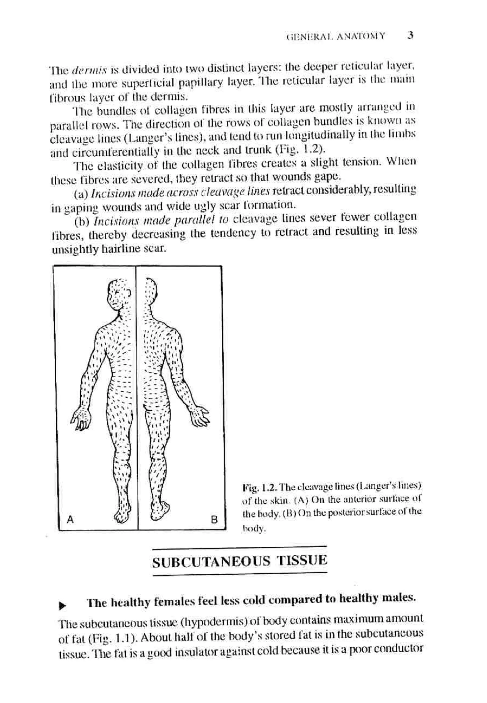 001 clinical-anatomy-by-vishram-singh | PDF