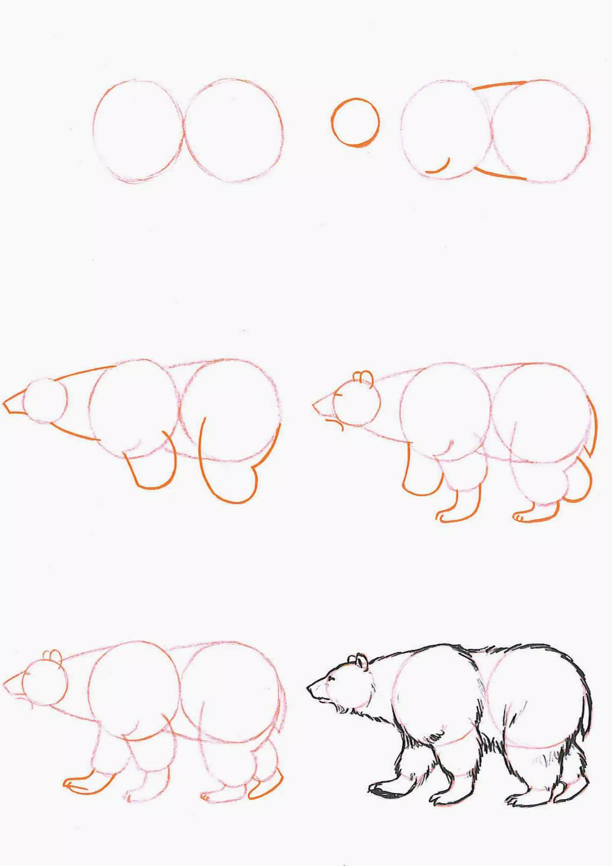 001 draw-50-animals | PDF